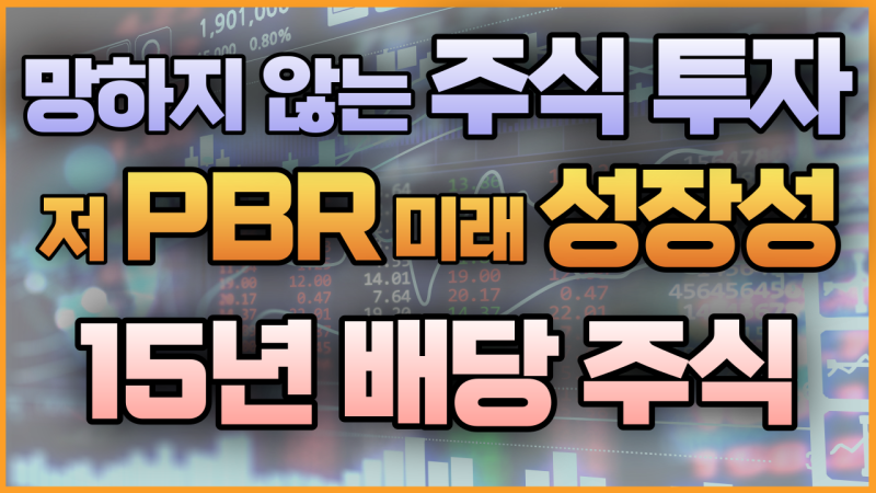 망하지 않는 주식 특집 저 PBR 미래 성장성 15년 배당 주식