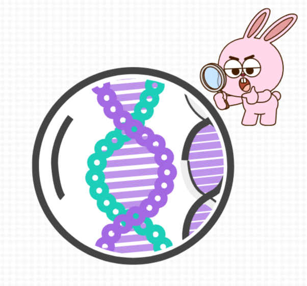 2403035 생명과학1 유전 탐구주제 의치한약수 생명계열 Dna 를 이용한 Dna증폭 기술 탐구