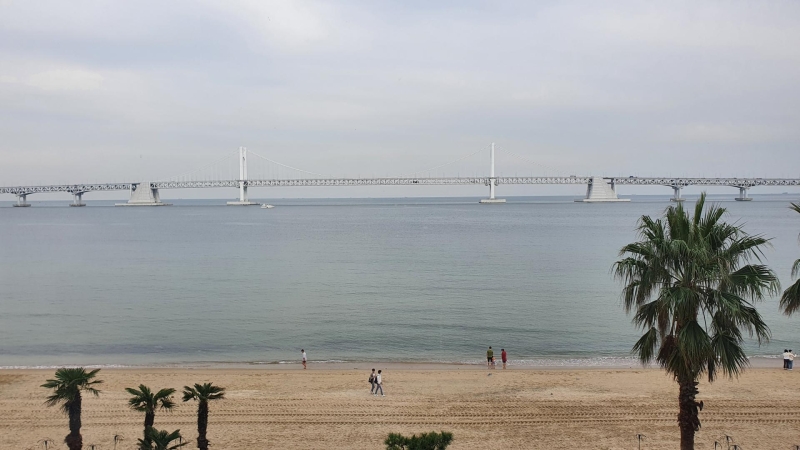부산광역시 금정구 장전동 입지 분석 And 투자 포인트