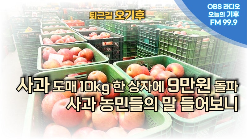 사과 값 사상 최고 / 물에 잠긴 두바이 / 우리나라에 RE100 20년 초대형계약 등장