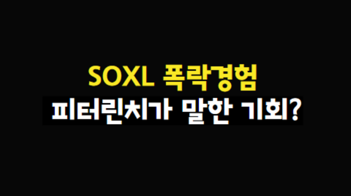 SOXL 폭락을 경험하며 알게된 피터 린치가 말하는 기회의 의미 깔끔정리및 나의생각은?