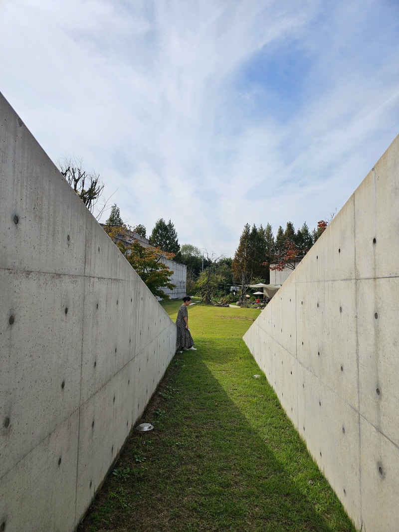 [IFRS Issue Paper_249] KIFRS1032, "dividend blocker"가 우선주 자본, 부채 분류에 미치는 영향