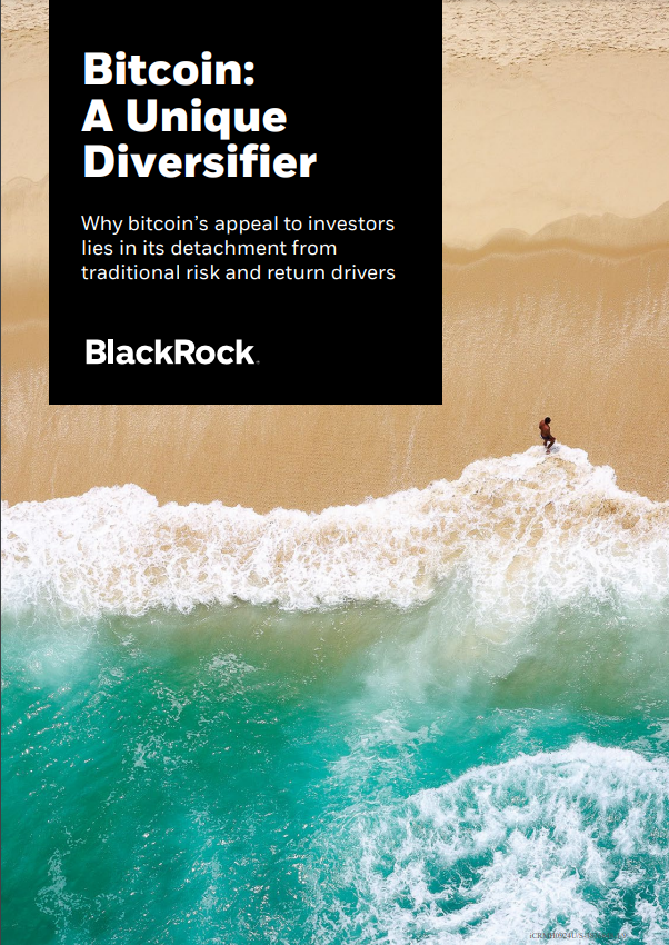 댓글 : [BlackRock] Bitcoin : A Unique Diversifier - 보고서 (비트코인 - 독특한 다양성)