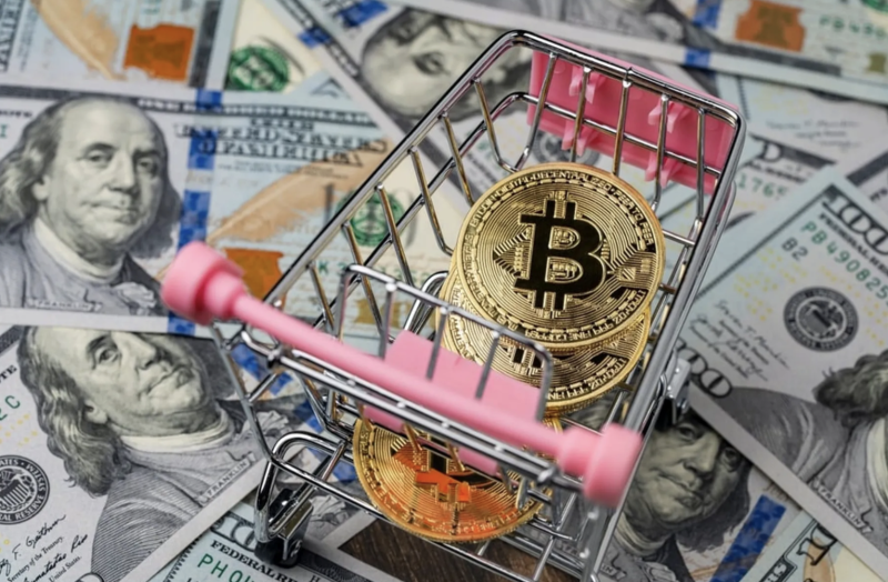 비트코인 왜 하락 크립토 투자 패턴을 보라 ‘btc Alt 순환
