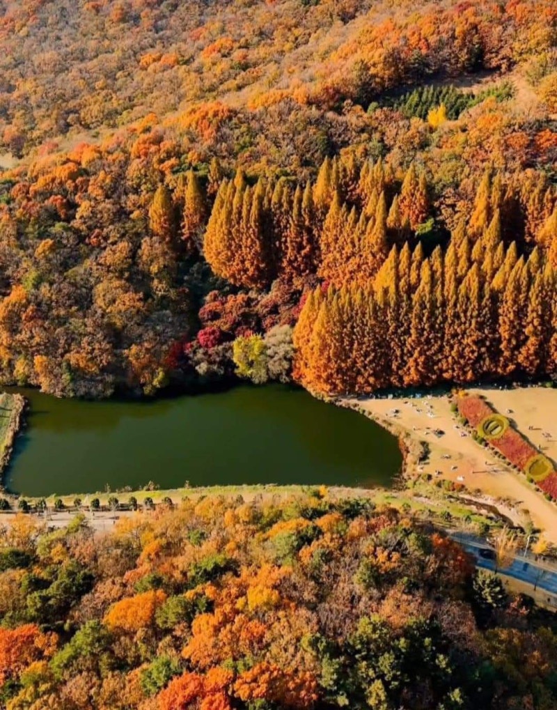 IASB PUBLISHES EXPOSURE DRAFT EQUITY METHOD OF ACCOUNTING IAS 28 (bdo)