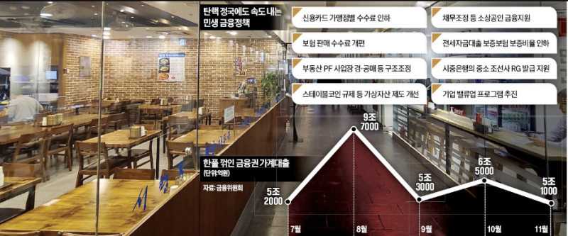 댓글 정치에 난타당한 민생부터 챙긴다카드수수료 인하·상생금융 속도241217주요 신문내용