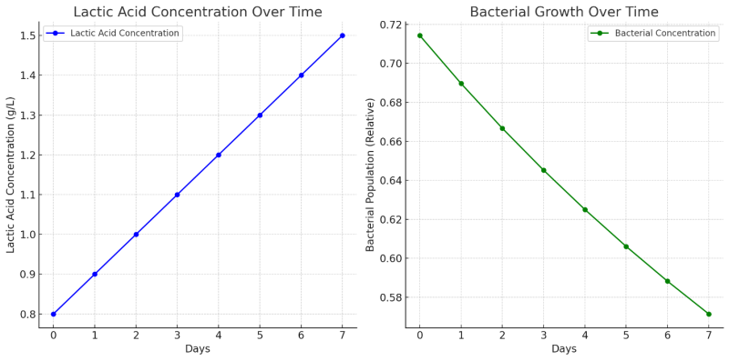 [식품/공학] 김치가 신 이유, 젖산균과의 관계 식품 공학 일반고 진로 세특 보고서 추천