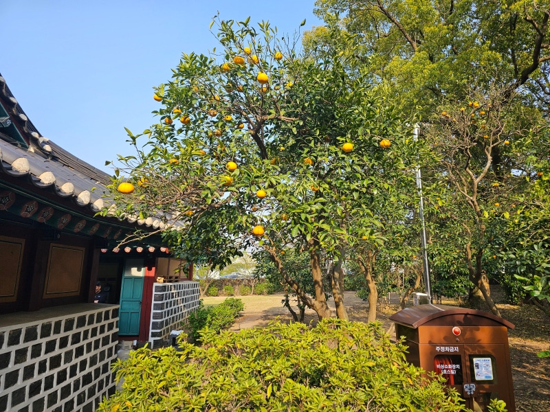 [IFRS Issue Paper 536] KIFRS1118, IFRS18하에서의 손익항목의 분류 방법