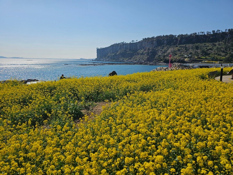 10년물 미국국채 가격(금리)과 경기침체 신호의 관련성