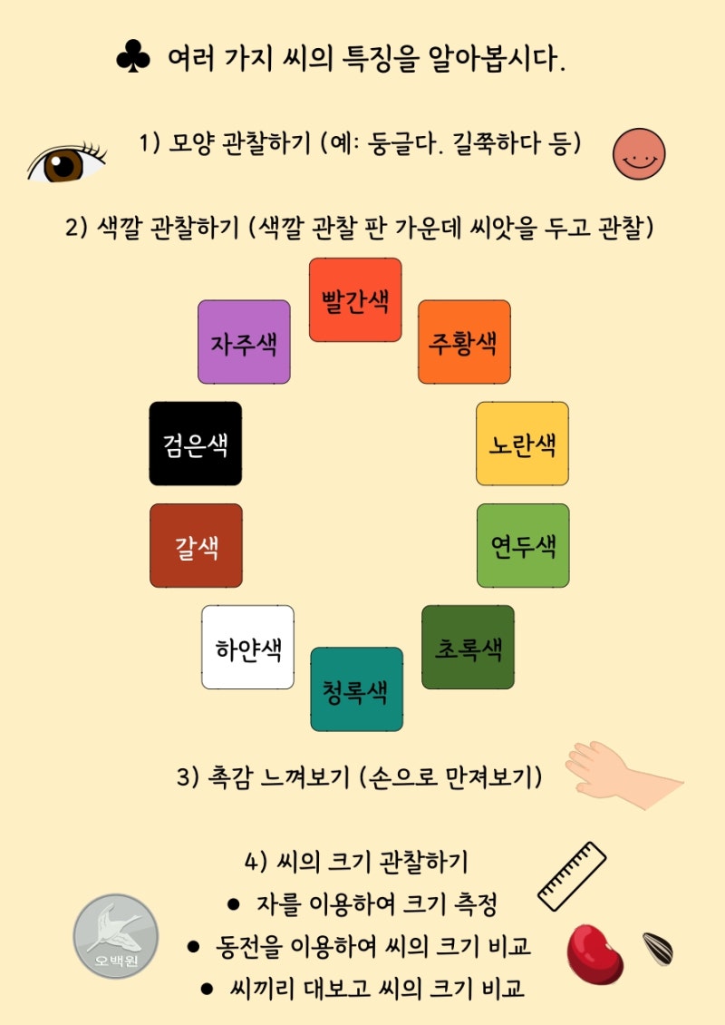 씨앗 관찰 자료