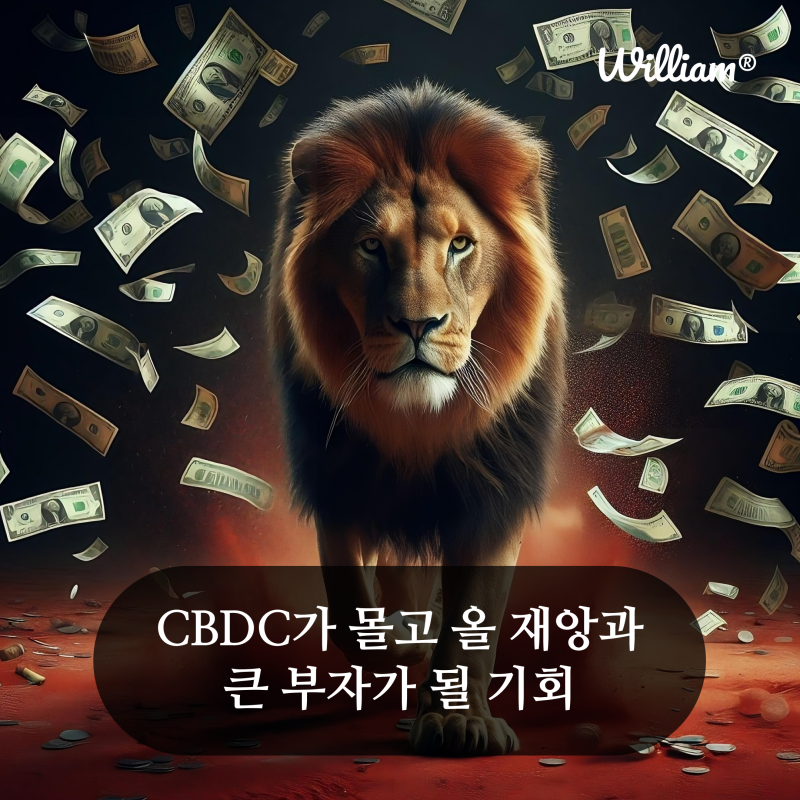 대한민국이 CBDC와 스테이블코인을 동시에 추진하는 진짜 이유