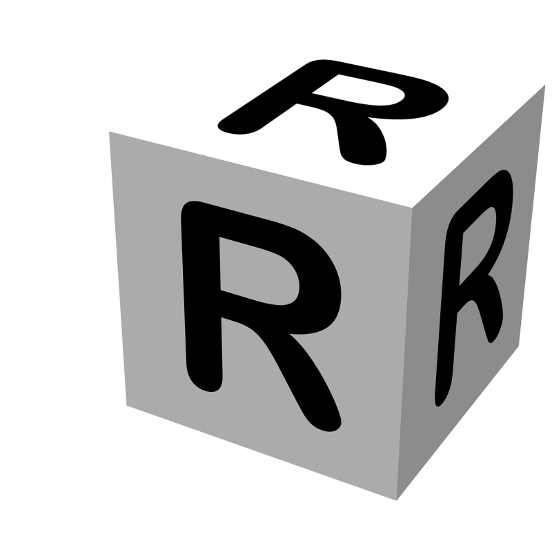 RR을 사본 적이 없습니다