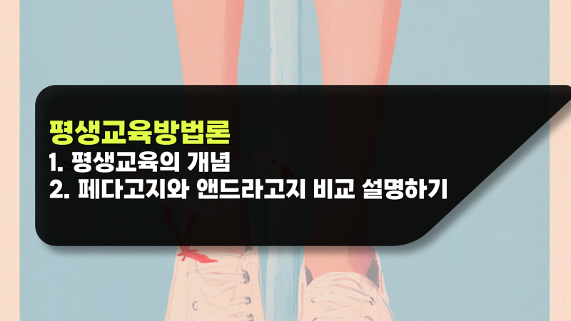 평생교육방법론 과제 평생교육의 개념 페다고지와 앤드라고지 비교 설명