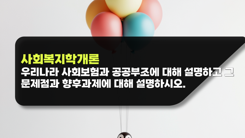 사회복지학개론 과제 우리나라 사회보험과 공공부조에 문제점과 향후과제