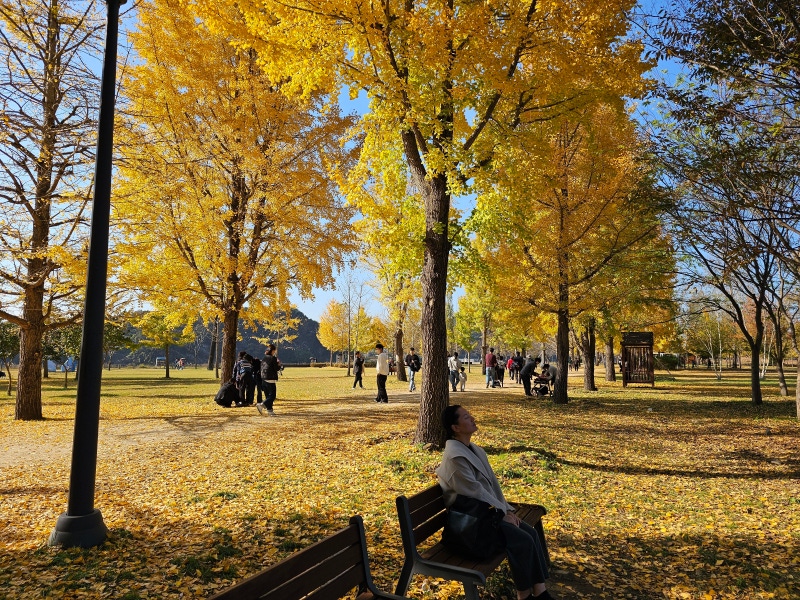 [IFRS Issue Paper 352] KIFRS1113, 1109, Day 1 difference의 의미와 회계처리(feat ...