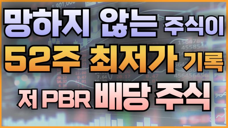 망하지 않는 주식이 52주 최저가 기록 저 PBR 배당 주식 (5.5)