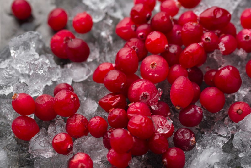 크랜베리(cranberries)로 요로 감염을 치료한다?