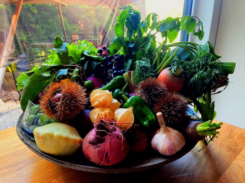 [홋카이도>삿포로/프렌치] AGRISCAPE