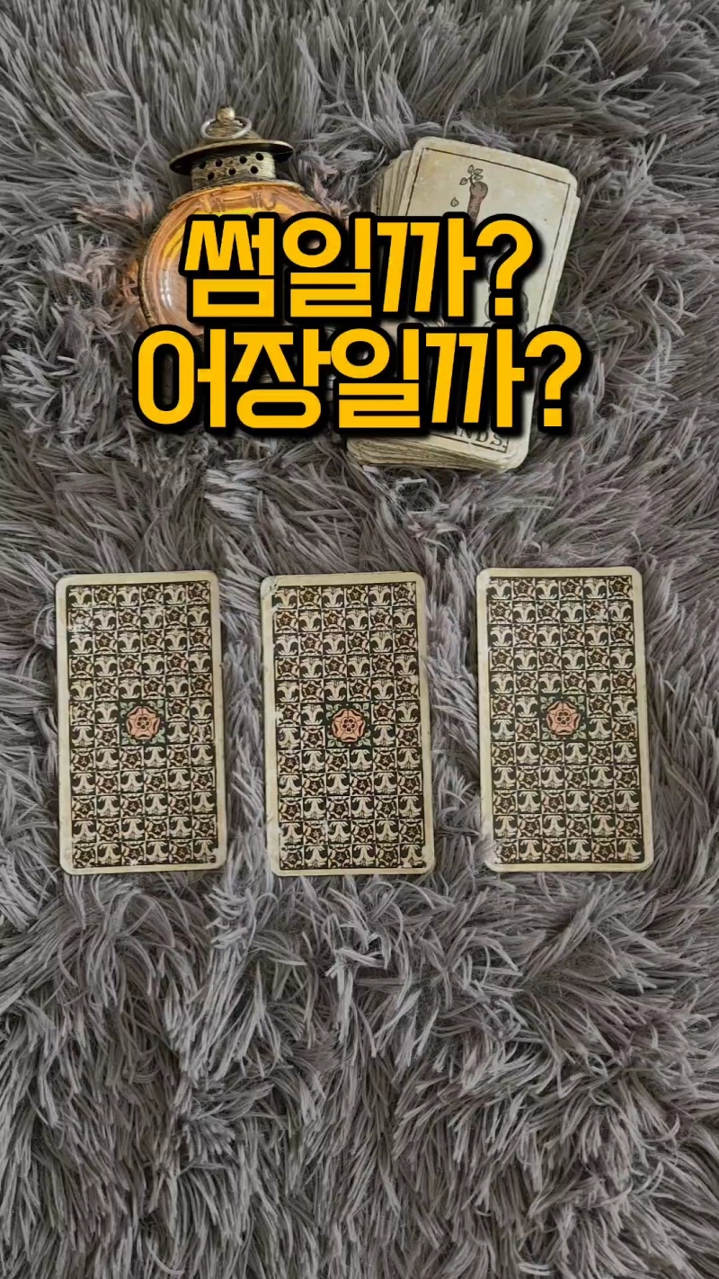 댓글 : 타로🔮썸일까? 어장일까?