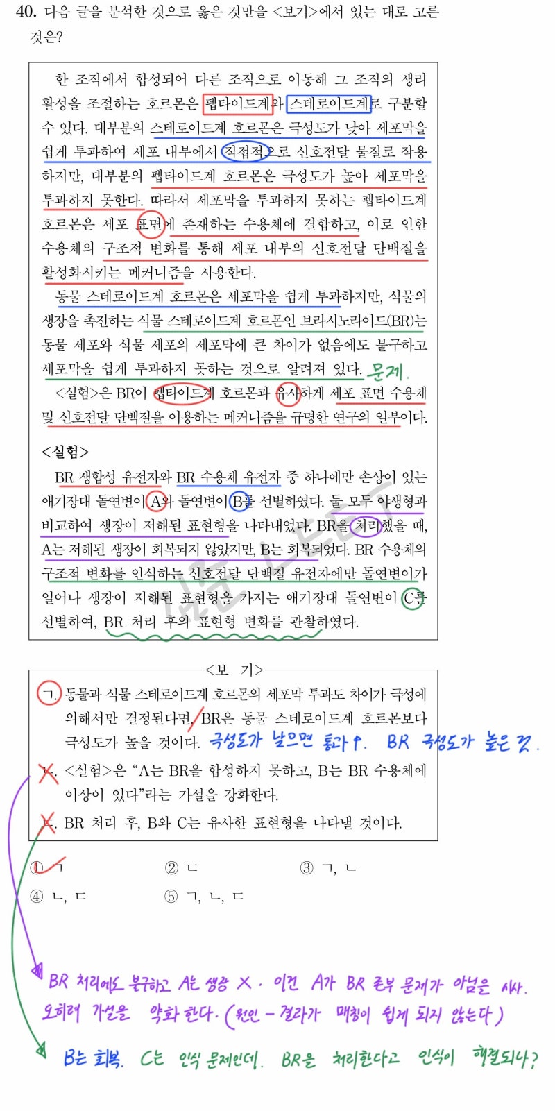 2025 LEET 추리논증 손필기 해설 (40번)