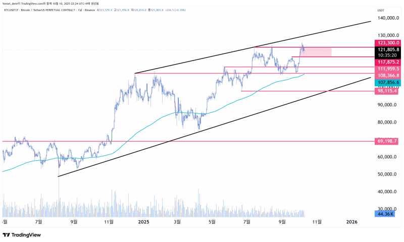 [BTC Analysis] - 2025.10.10 시황
