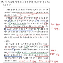 2024 LEET 추리논증 손필기 해설 (19번)