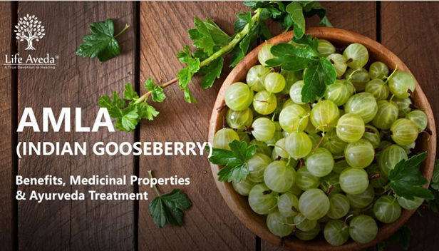 인디안구스베리(Indian Gooseberry, Alma), vitC의 새로운 공급원?