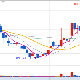 20일선 관심주 (12/26)