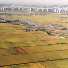 댓글 : 토지거래허가 - 토지사용승낙서를 활용하면