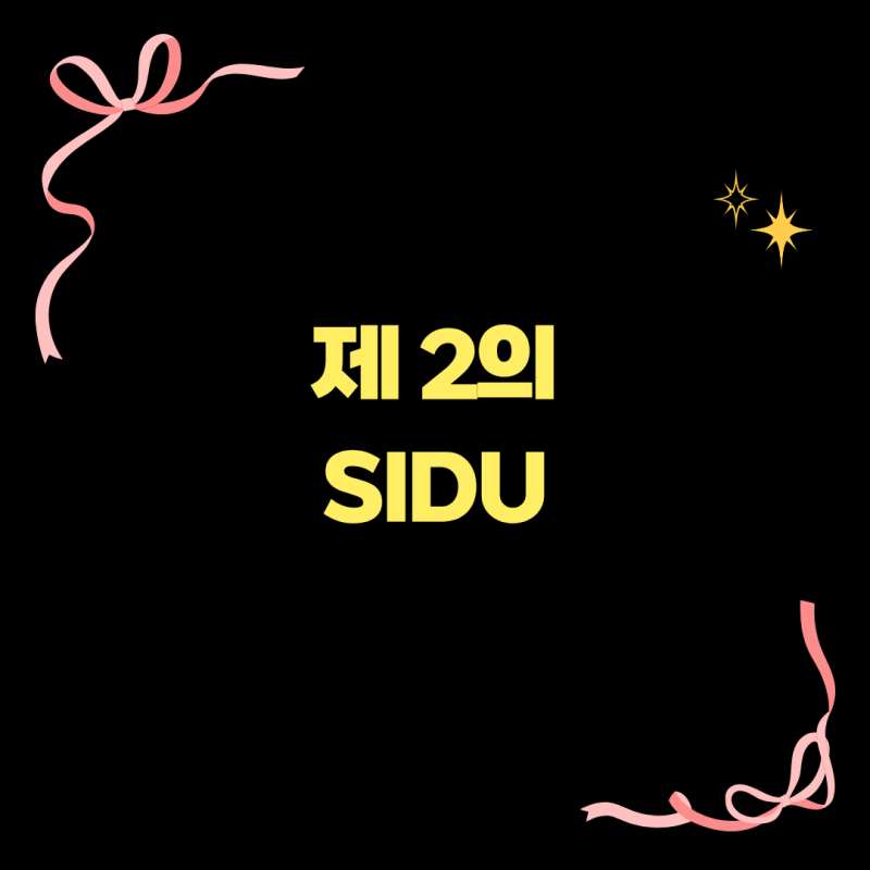 제 2의 SIDU 우주종목 / 저는 잡주라 생각안해요.