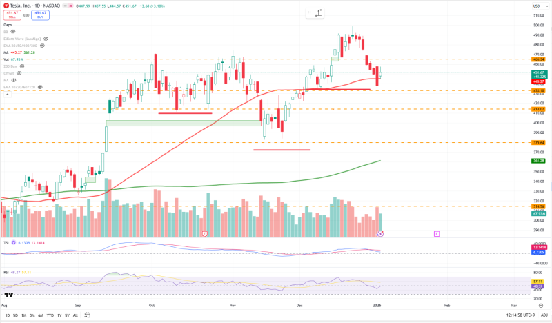 (1/6) TSLA DAILY UPDATE - ROBOT