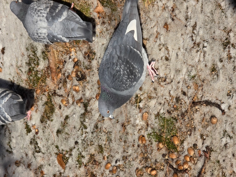 양방향 매매하세요