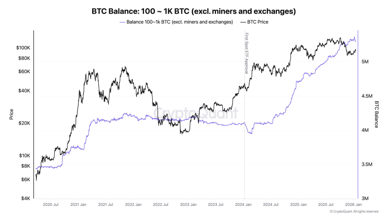 비트코인 100개~1,000개 보유 주소 잔고(BTC Balance: 100 ~ 1K BTC) 및 각종 매크로